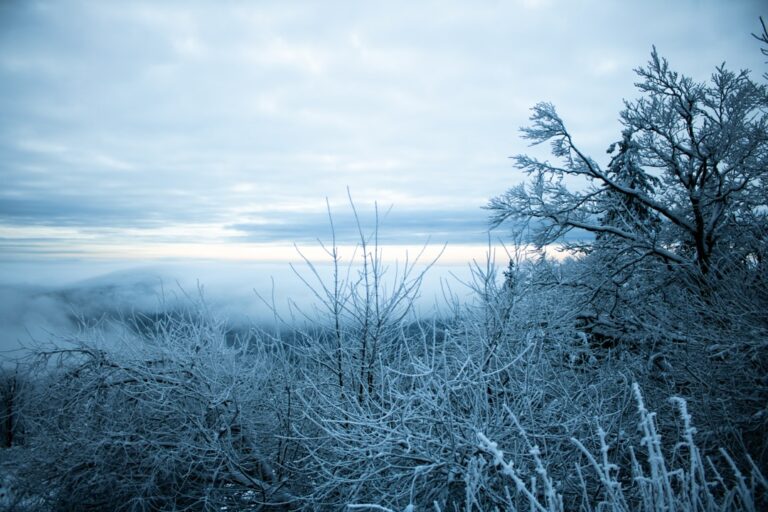 Mastering the Cold Start: Strategies for Success - Quintessence